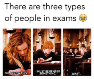 Online Exam Memes: A Humorous Look At The Digital Test-Taking ...